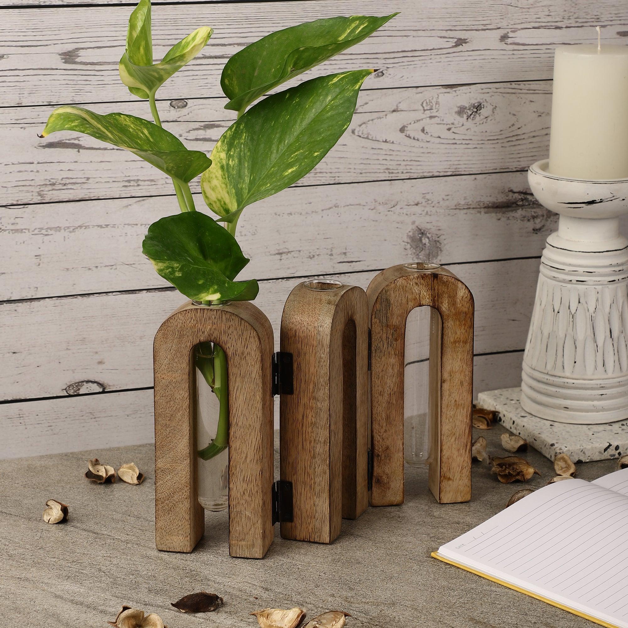 Foldable Arch Testube Planter – The Decor Mart