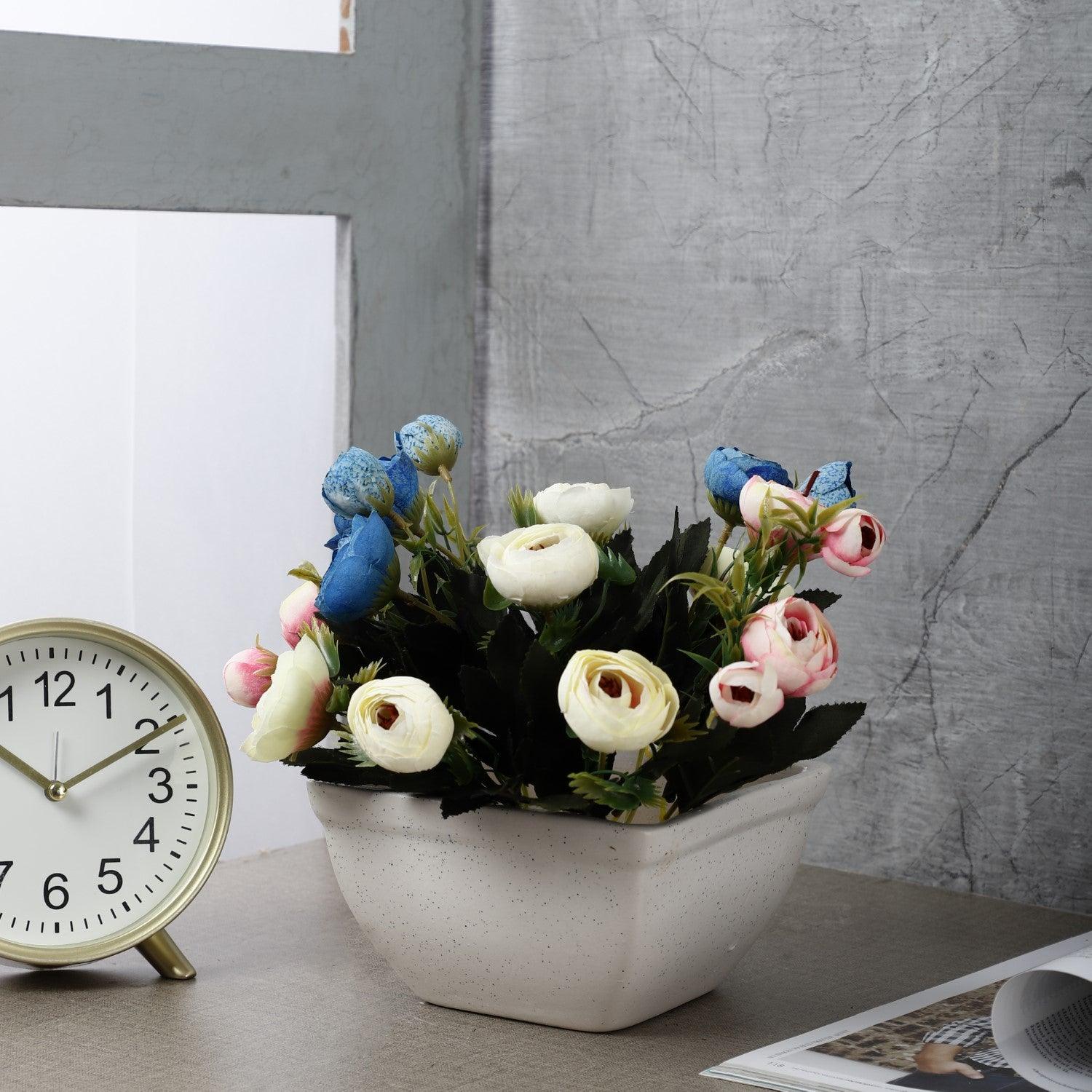 Ceramic Square Dish Planter – The Decor Mart