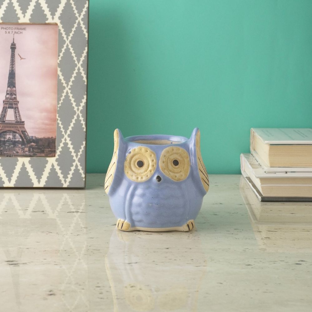Small Ceramic Owl Planter- Blue – The Decor Mart